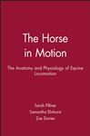 The Horse in Motion | MyEnglishGuide.com