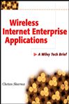 Wireless Internet Enterprise Applications | MyEnglishGuide.com