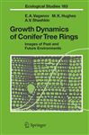 Growth Dynamics of Conifer Tree Rings | MyEnglishGuide.com